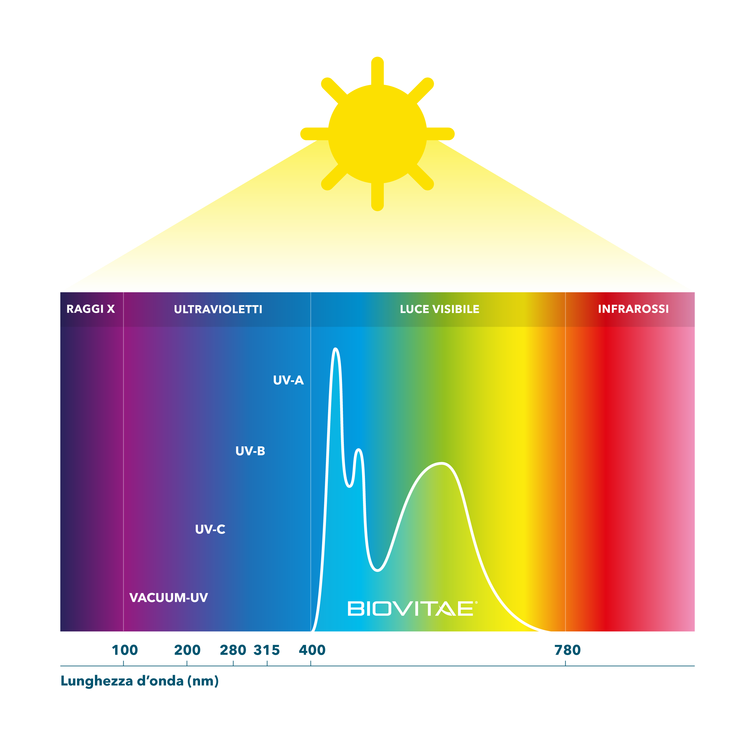Come funziona Biovitae?