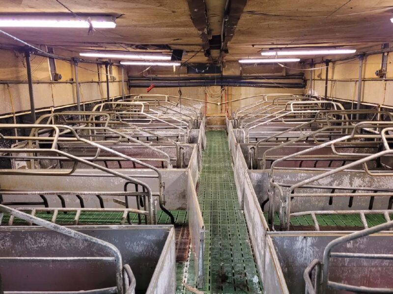 Food industry - Biovitae